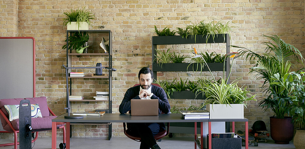 Green Oasis in the Office - se:lab Mobile Planter and se:matrix Plant Box