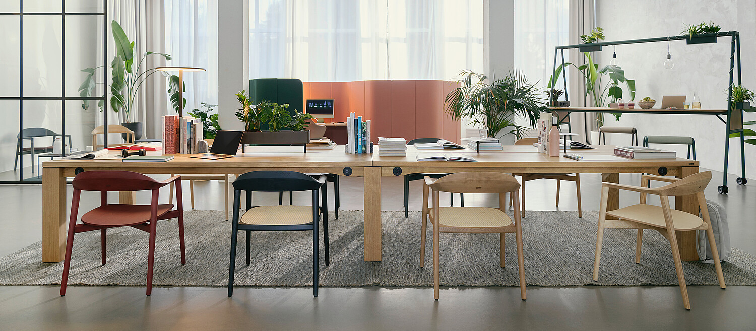 se:café wooden chair & lounge chair – High-quality design and natural ...