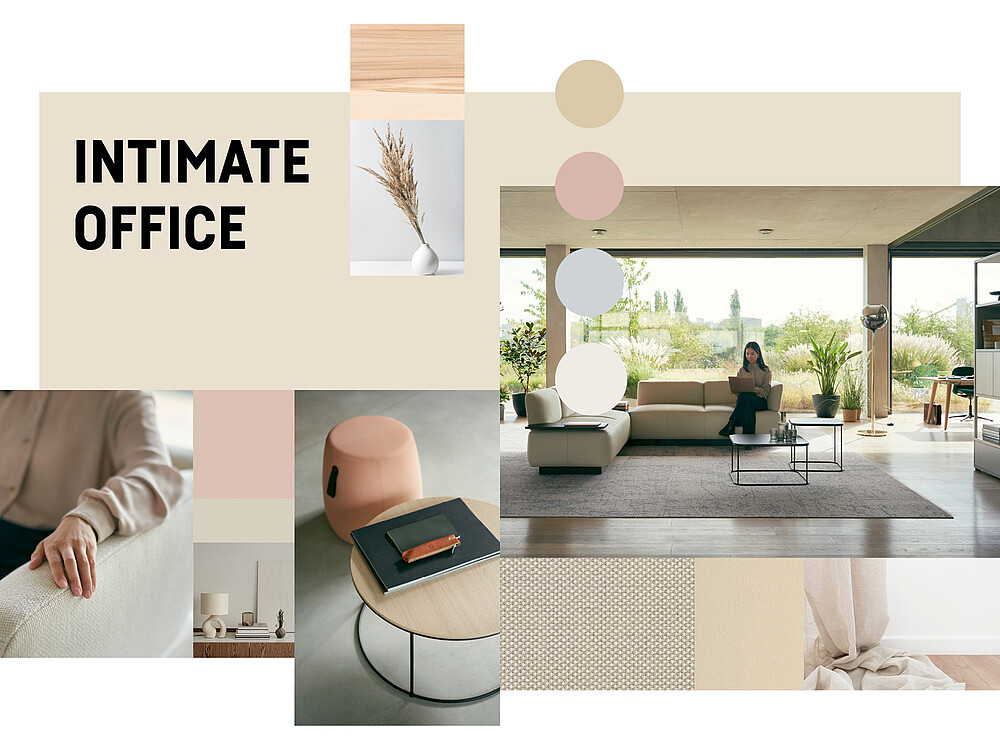 Office Design with #designcodes: Color Trends for Well-being and Creativity