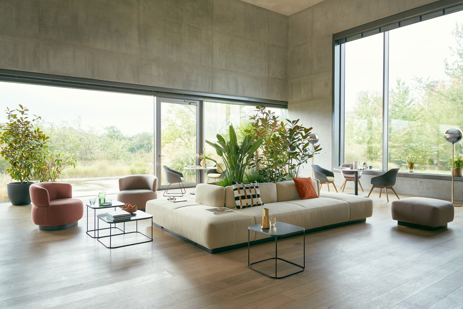 Sedus on course for sustained growth